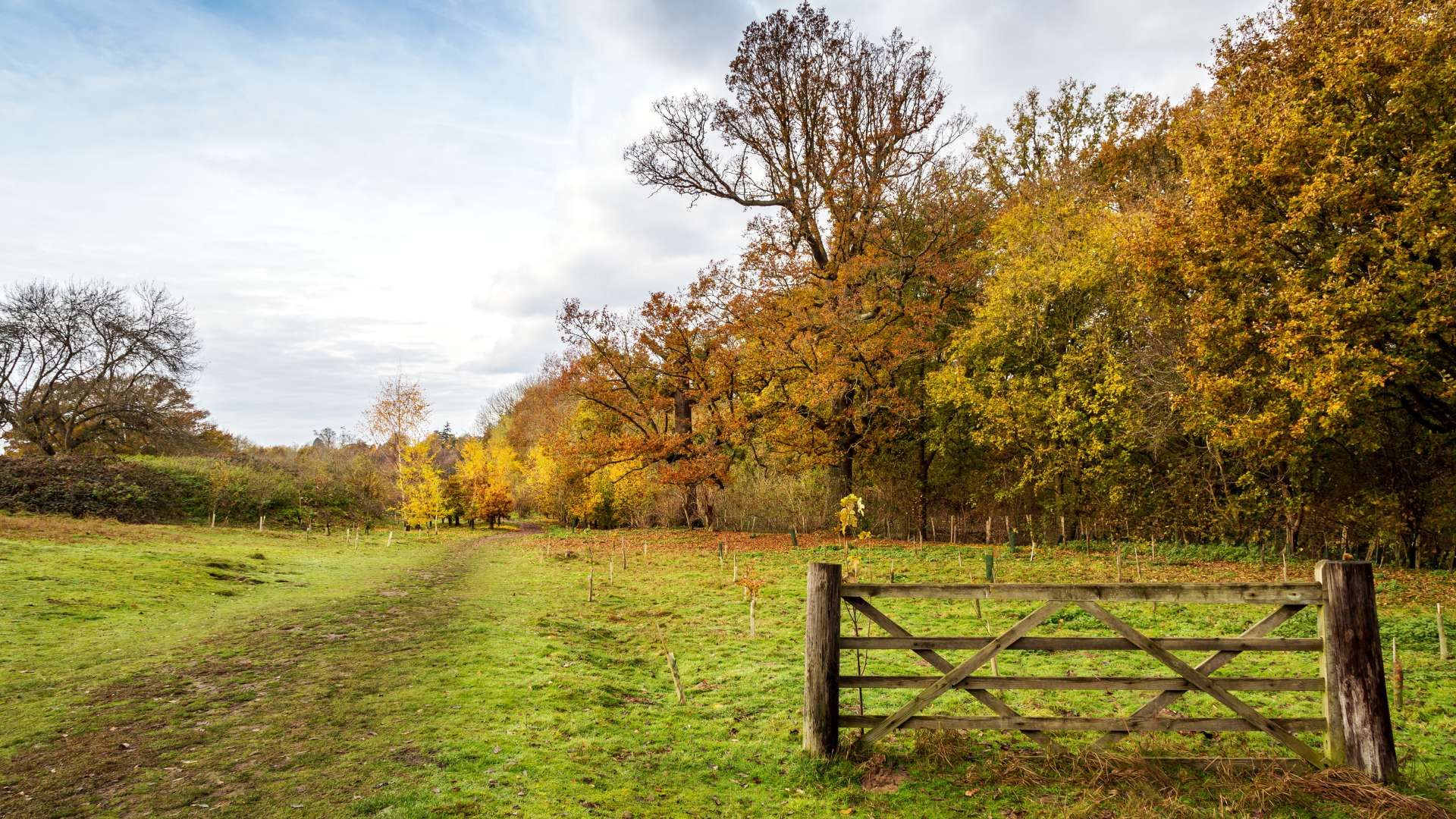 Bearsted Area Guide | Louis & Co